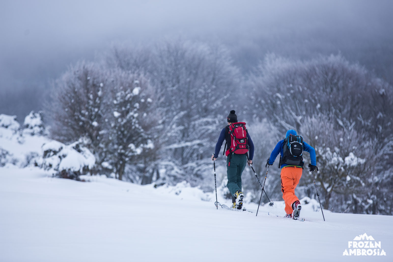 Skiing in Chortiatis, Thessaloniki - Frozen Ambrosia (Winter in Greece)