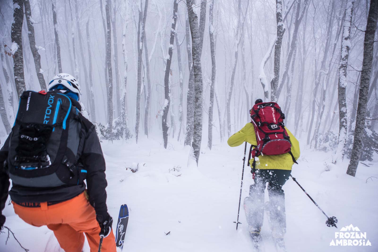 Skiing in Chortiatis, Thessaloniki - Frozen Ambrosia (Winter in Greece)