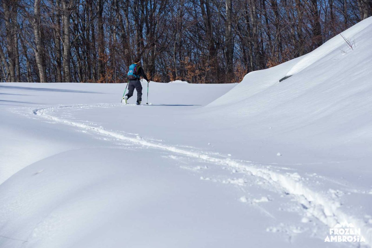 The Magic of Pelion Ski Center - Frozen Ambrosia (Winter in Greece)
